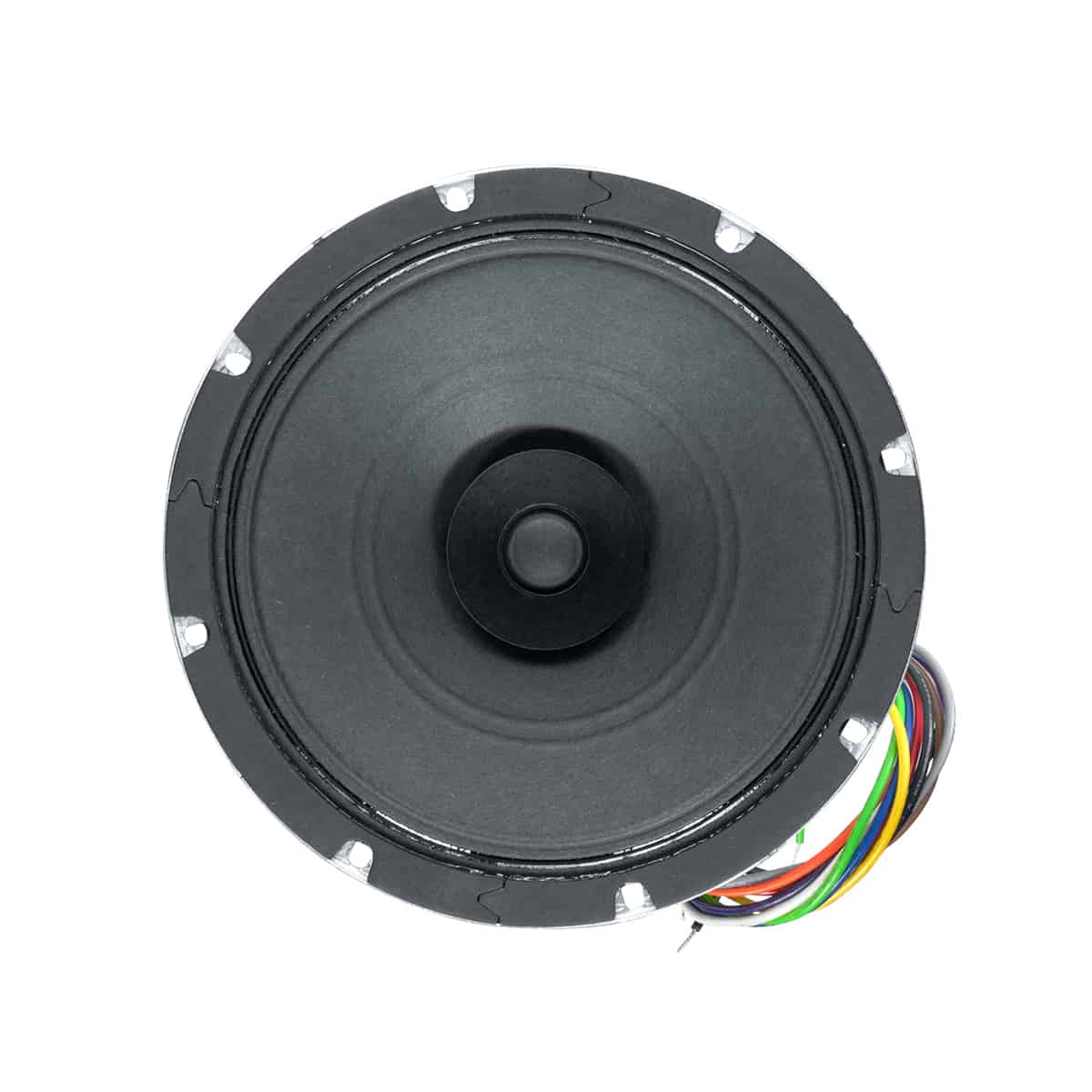 8 inch Dual Cone Speaker with 25V/70V Transformer