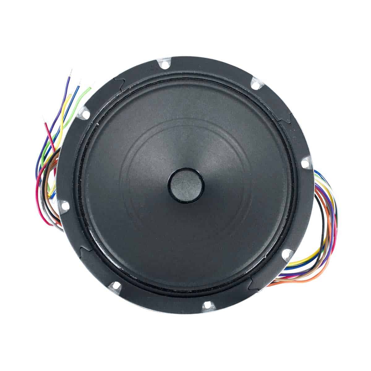 8 inch Single Cone Speaker with Two 25V/70V Transformers