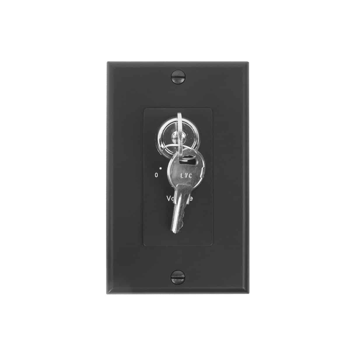 100W Mono Volume Control